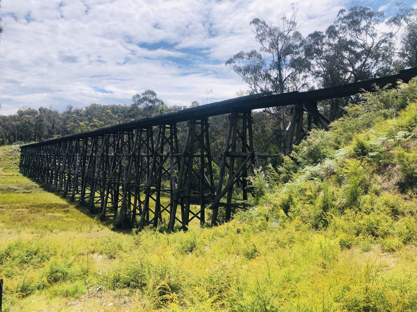 Noojee Trestle Bridge Rail Trail Walk (3km) - Gippsland, VIC
